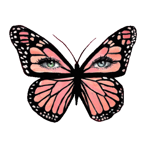 Butterfly Itsjustcavan Sticker by Cavan Infante for iOS & Android | GIPHY