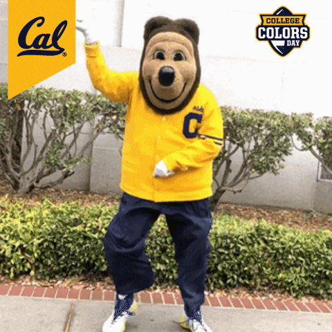 College Sports Cal GIF by College Colors Day - Find & Share on GIPHY