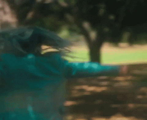 Learn To Let Go GIF by Kesha - Find & Share on GIPHY