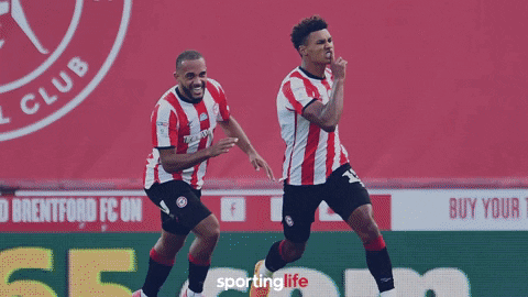 Championship GIF by Sporting Life - Find & Share on GIPHY