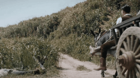 Activity » azzo » Dramabeans