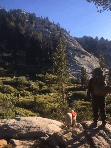 Backpacking Sierras GIF by Justin - Find & Share on GIPHY
