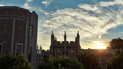 College Campus GIF by Washington University in St. Louis - Find & Share ...