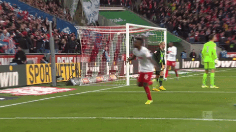 1 Fc Cologne Football GIF by 1. FC Köln - Find & Share on GIPHY