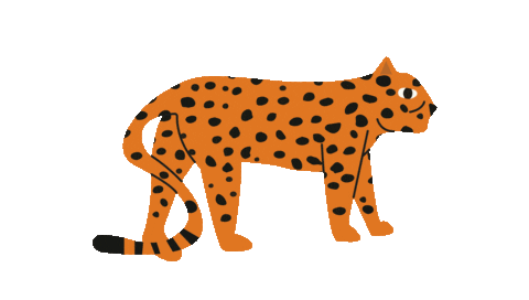 Interior Design Sticker by amarantostudio for iOS & Android | GIPHY