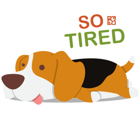 Tired Dog Sticker by Petland Florida for iOS & Android | GIPHY