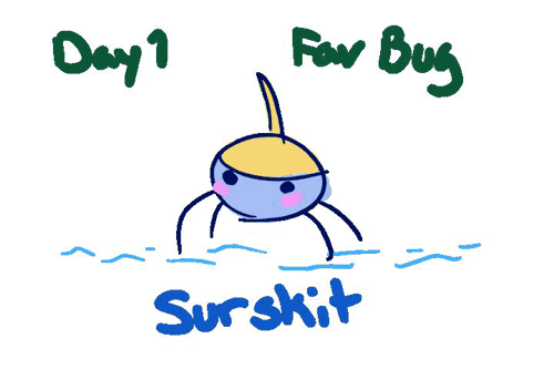 Day 1 GIF - Find & Share on GIPHY