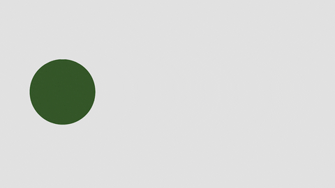 Bible Study GIF by Mariners Church - Find & Share on GIPHY