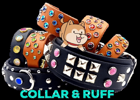 Collar & Ruff GIF - Find & Share on GIPHY