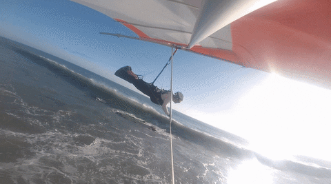 Glider GIFs - Find & Share on GIPHY