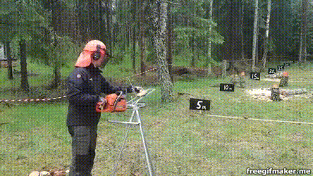 Forestry GIFs - Find & Share on GIPHY