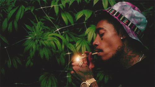 Gets Wiz Khalifa GIF - Find & Share on GIPHY