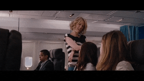 Scene Airplane GIF - Find & Share on GIPHY