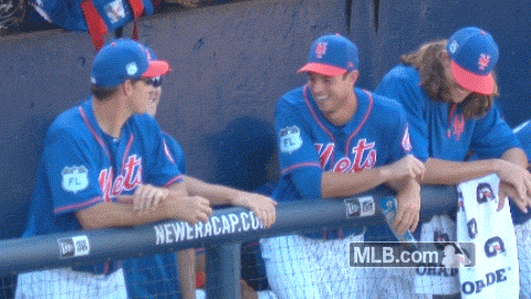 New York Mets GIF by MLB - Find & Share on GIPHY