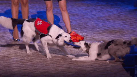 Angry Got Talent Audition GIF by Got Talent Global - Find & Share on GIPHY