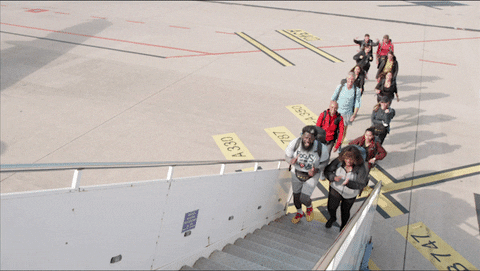 Happy The Amazing Race GIF by CBS - Find & Share on GIPHY