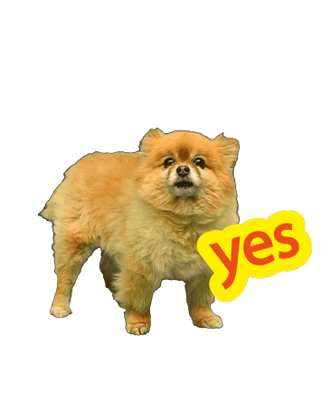 Dog Yes Sticker by Maje Paris for iOS & Android | GIPHY