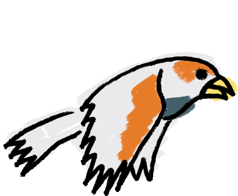 Bird Sticker by bentuber for iOS & Android | GIPHY