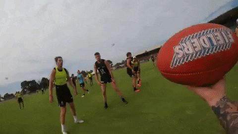 Training Afl GIF by Port Adelaide FC - Find & Share on GIPHY