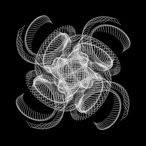 Art Loop GIF by tracheotommy - Find & Share on GIPHY