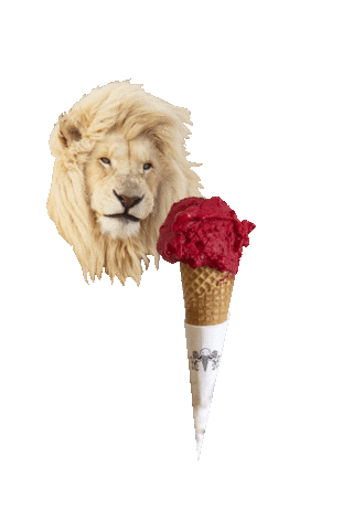 Lion Icecream Sticker by Leones Gelato for iOS & Android | GIPHY