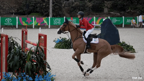 Olympics Us Equestrian GIF by Team USA - Find & Share on GIPHY