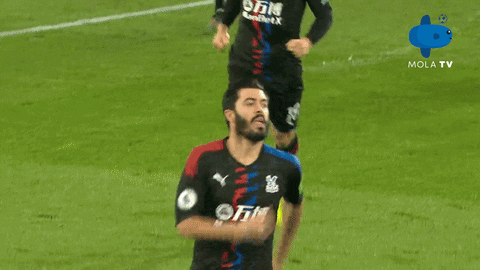 Southampton GIF by MolaTV - Find & Share on GIPHY