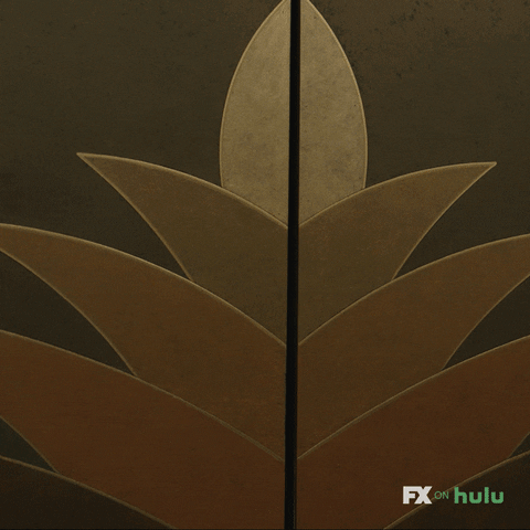 Surprise Hello GIF by FX Networks - Find & Share on GIPHY