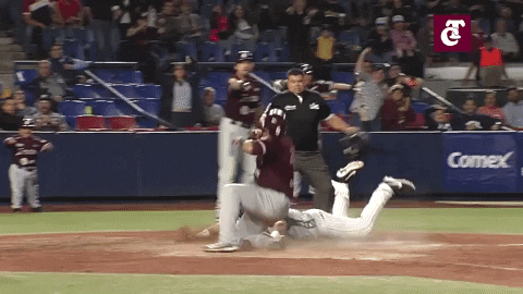 Celebration Baseball GIF by Club Tomateros - Find & Share on GIPHY