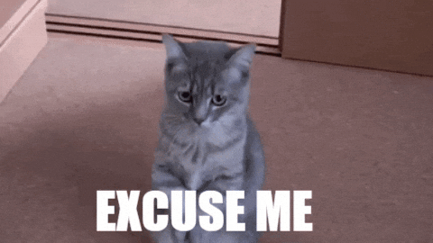 What The Heck Wtf GIF by Justin - Find & Share on GIPHY