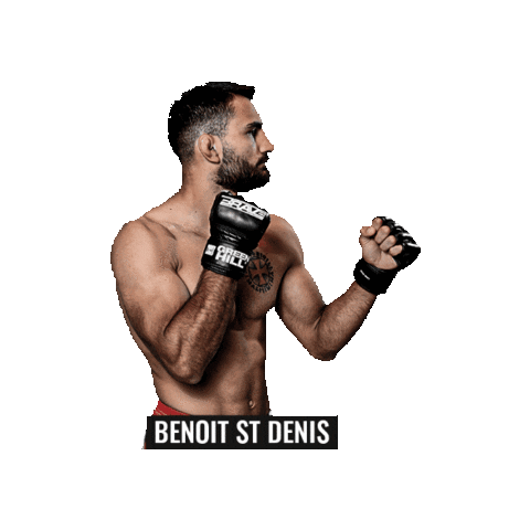 Mma Fighter Sticker by BRAVE Combat Federation for iOS & Android | GIPHY