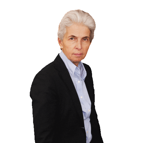 Fdpbt Freiedemokraten Sticker by Fraktion der Freien Demokraten im ...