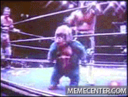 Dwarf GIFs - Find & Share on GIPHY