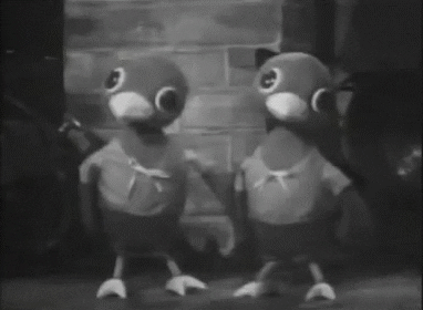 Perky GIFs - Find & Share on GIPHY