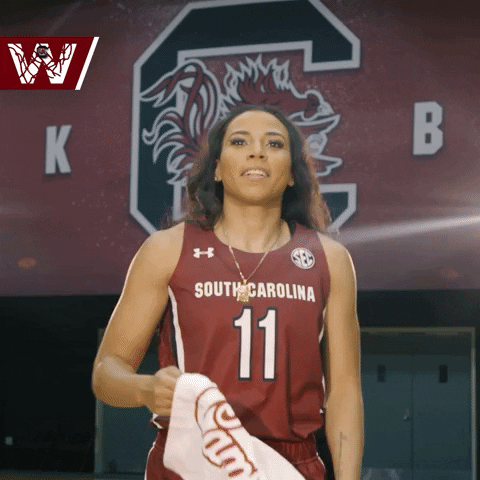 Sandstorm Go Gamecocks GIF by gamecocksonline - Find & Share on GIPHY