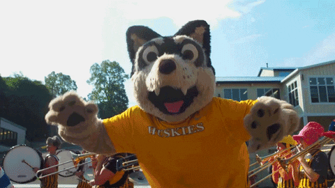 Mascot Dancing GIF by Michigan Tech - Find & Share on GIPHY