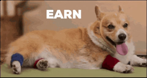 Dog Exercise GIF by Skratch Labs - Find & Share on GIPHY