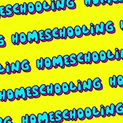 School Learn GIF - Find & Share on GIPHY