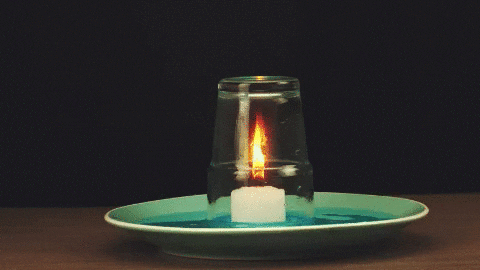 Cool Science GIF by Diply - Find & Share on GIPHY