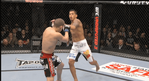 Mma GIF - Find & Share on GIPHY