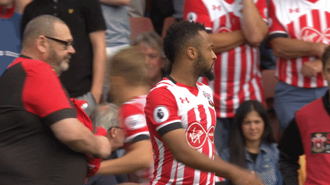 Skills Sammy Saint GIF by Southampton FC - Find & Share on GIPHY