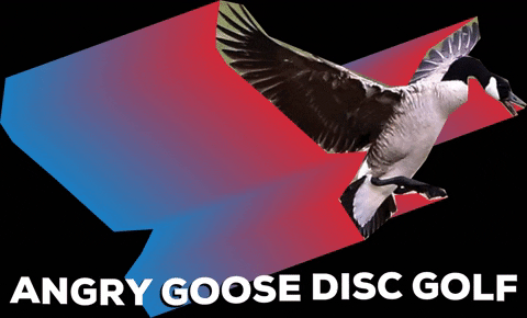 Angry Goose Disc Golf GIF - Find & Share on GIPHY