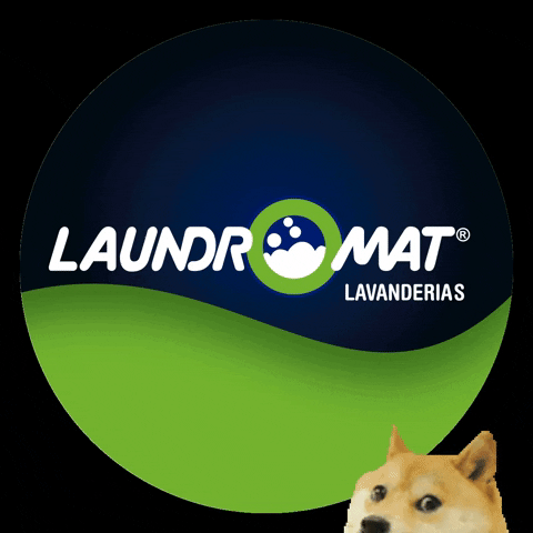 Lavanderia Secar GIF by Laundromatbrasil - Find & Share on GIPHY