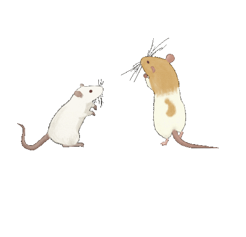 Pets Love Sticker for iOS & Android | GIPHY