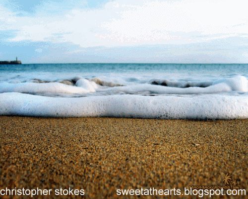 Sea GIF - Find & Share on GIPHY