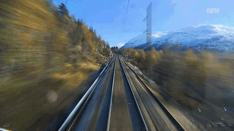 Train GIF - Find & Share on GIPHY