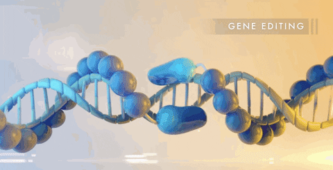 Cancer GIF - Find & Share on GIPHY