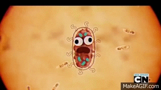 Bacteria GIF - Find & Share on GIPHY