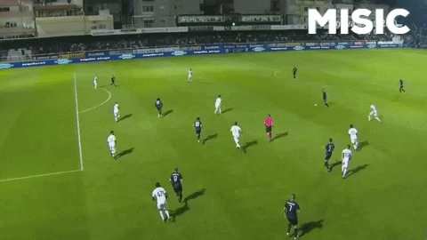 Paokfamily GIF by PAOK FC - Find & Share on GIPHY