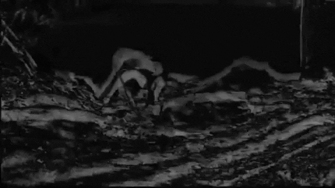 Digging Black And White GIF - Find & Share on GIPHY